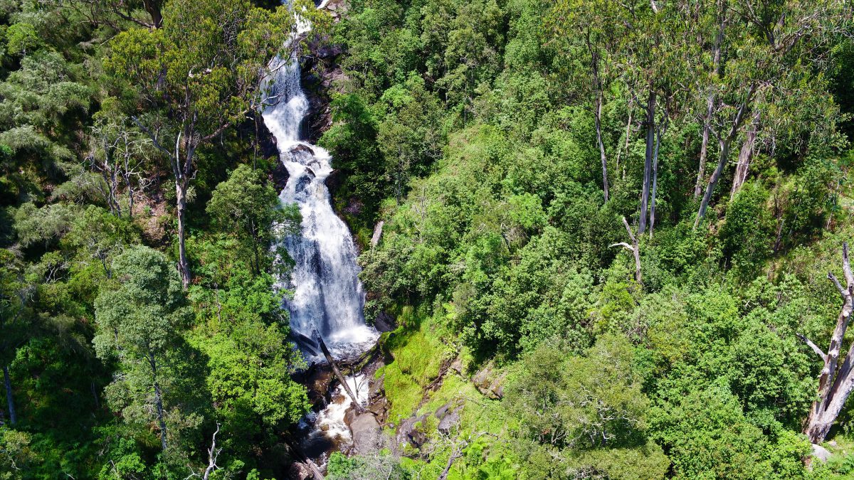 Values of Snobs Creek Valley - Rubicon Snobs Creek Reserve